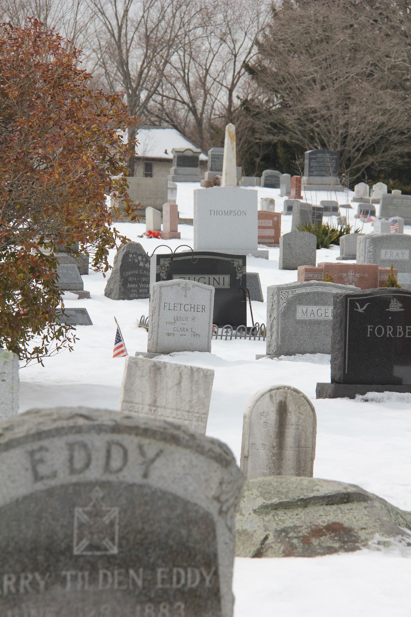 Providence Photo Gallery | Brian Shim Web Development